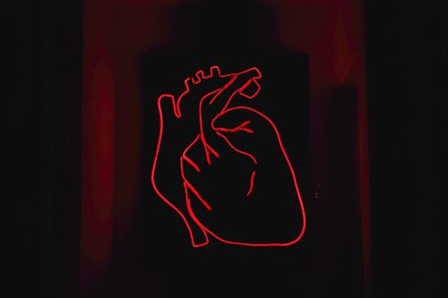 Cardio IQ Advanced Lipid Panel - Lab Test Shop